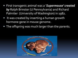 Transgenic animals by Ashish | PPTX