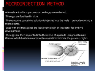 Transgenic animals by Ashish | PPTX | Infertility | Reproductive Health