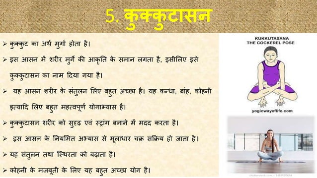 Aasan of hatha yoga | PPTX