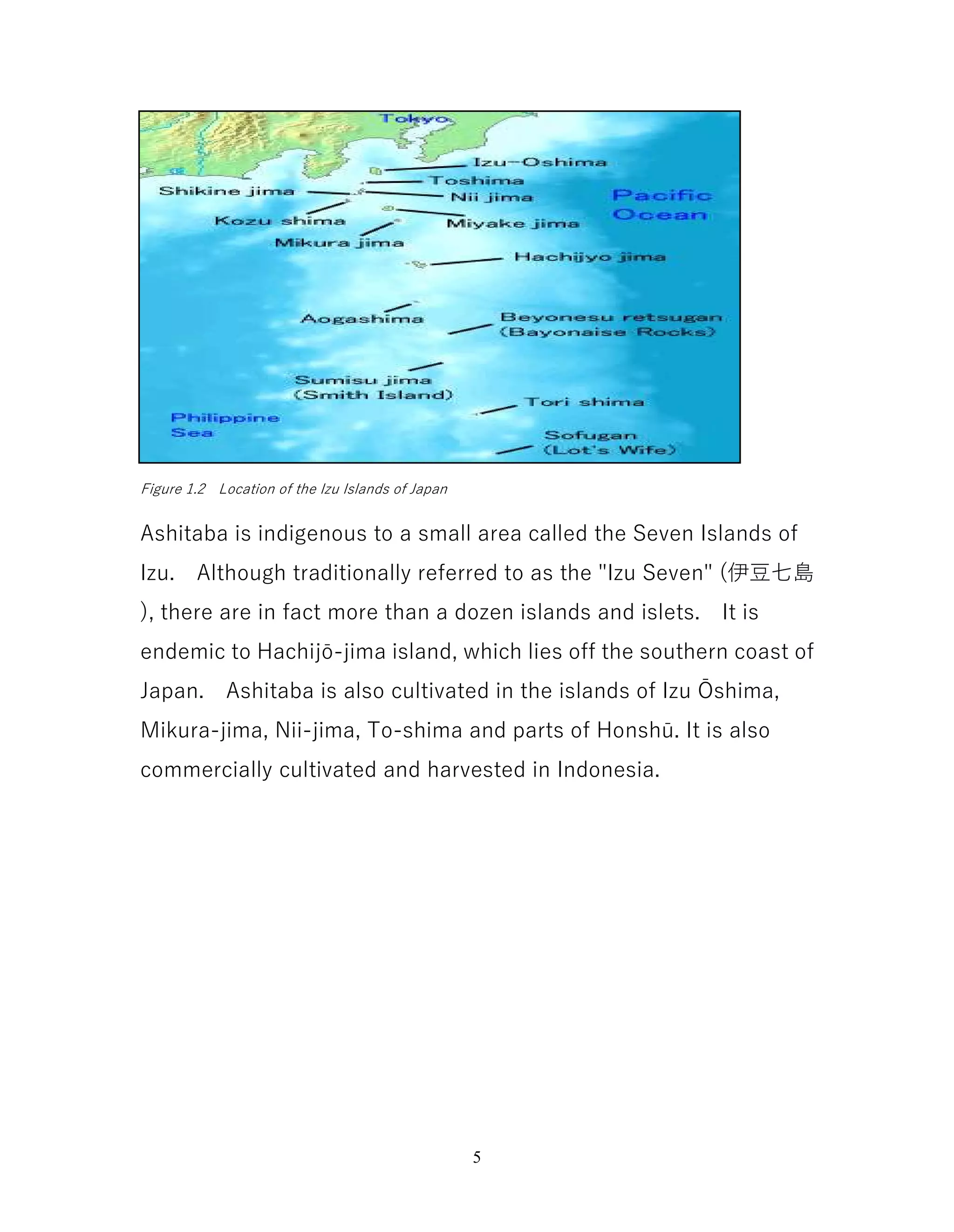 The Health and Medicinal Benefits of Ashitaba | PDF