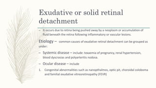 Retina - Congenital anomalies and RD by Ashith Tripathi | PPTX