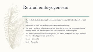 Retina - Congenital anomalies and RD by Ashith Tripathi | PPTX