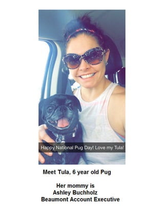 Tula | PDF