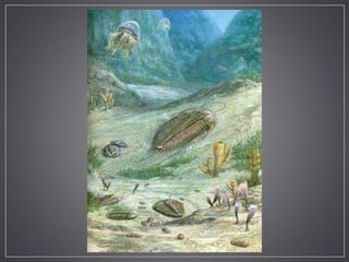 Ashley burgos (la era precámbrica) | PPTX