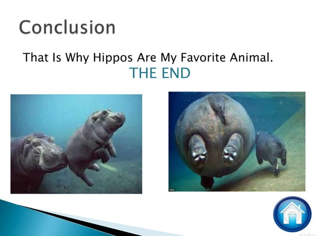 Ashleydaniels hippo | PPTX