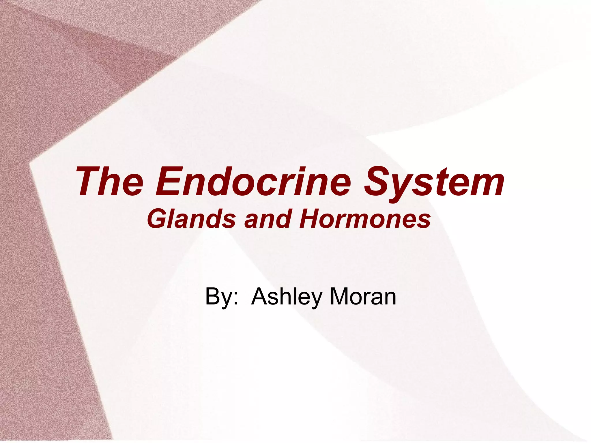 The Endocrine System | PPT
