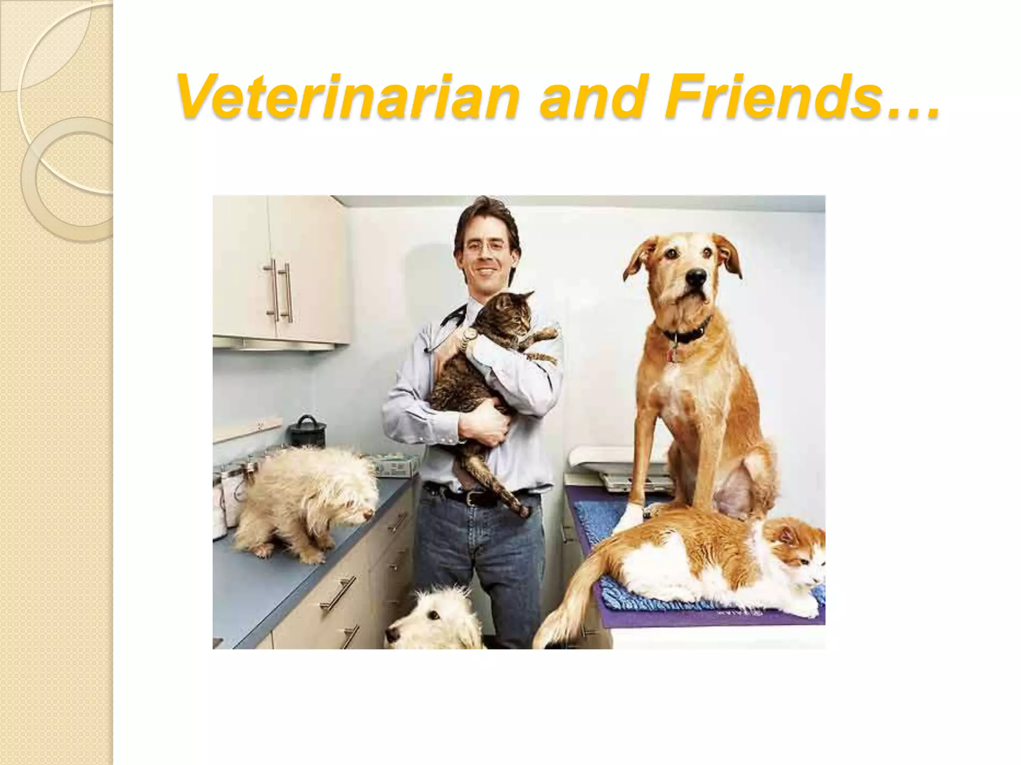 Ashley Spoon 2010 veterinarian research project 2 | PPTX