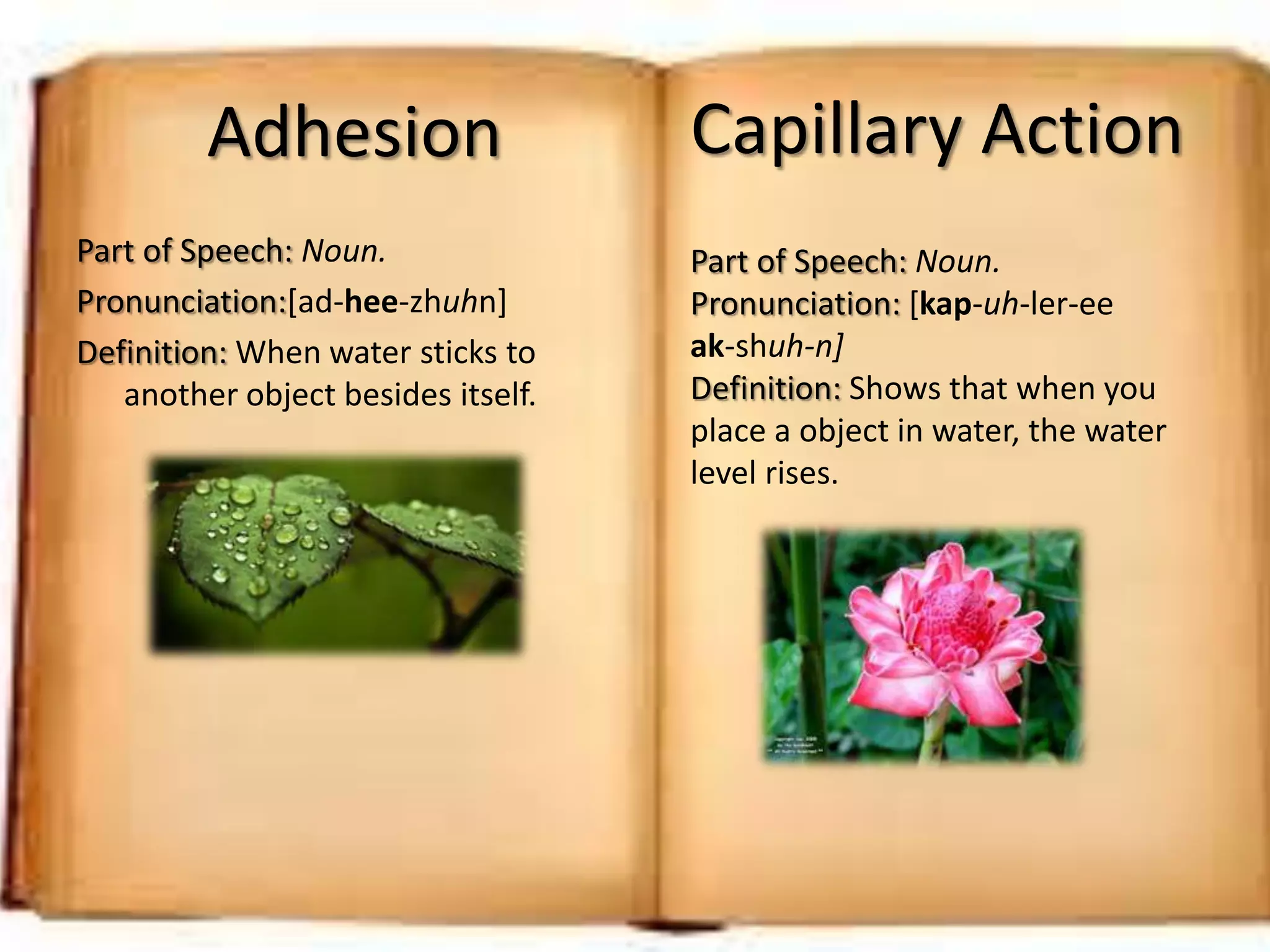 Ashley's water dictionary | PPTX