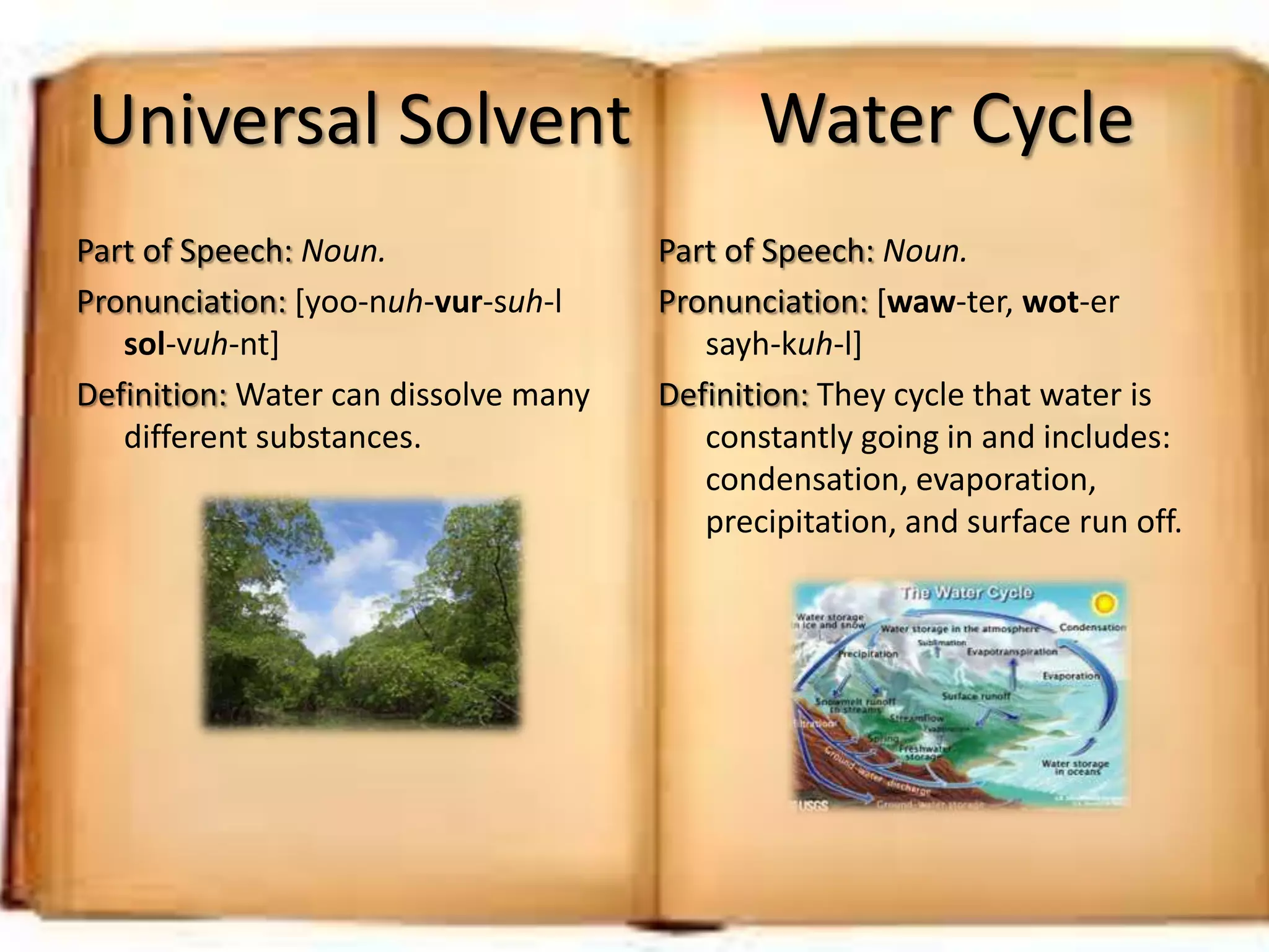 Ashley's water dictionary | PPTX