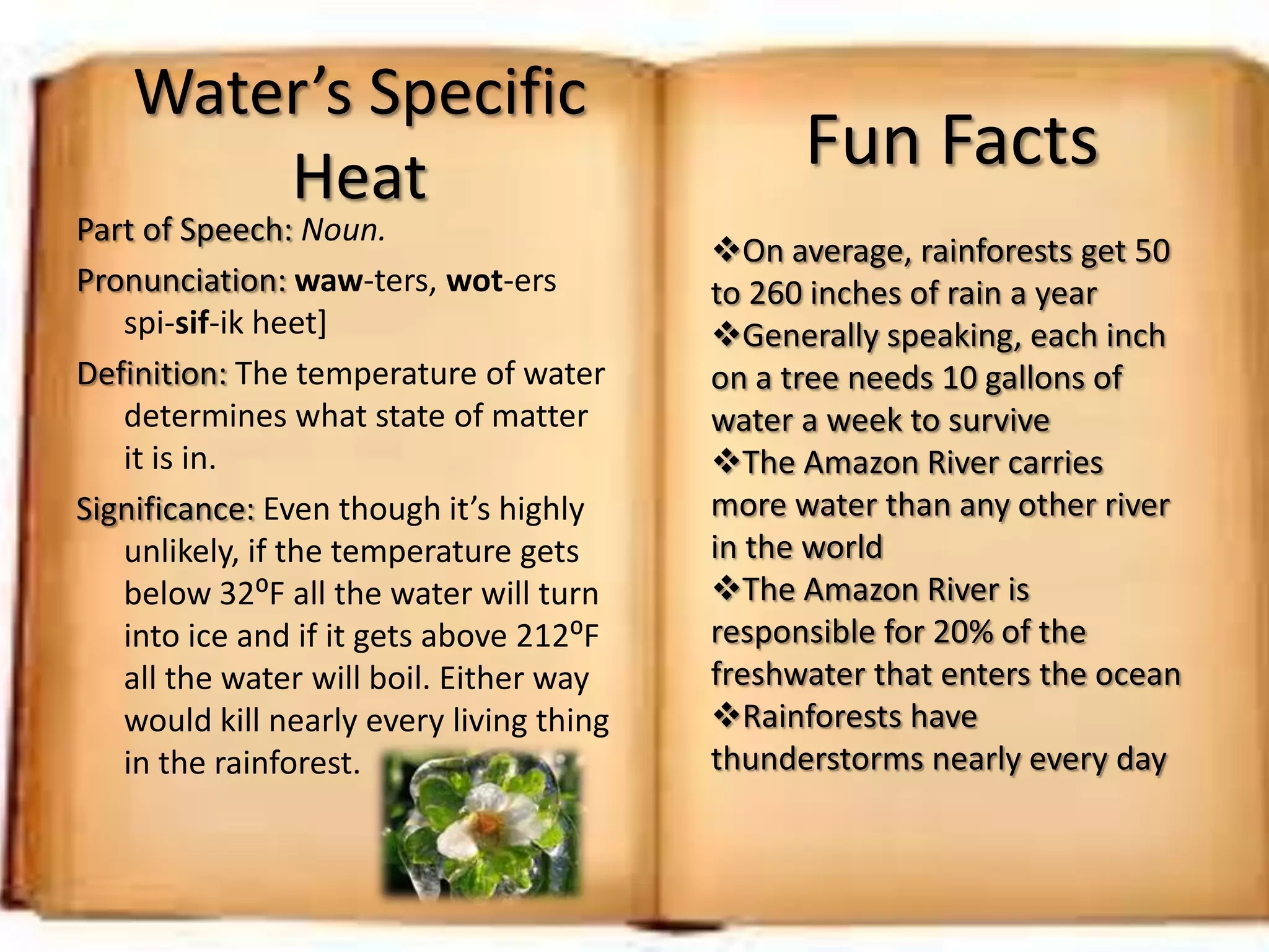 Ashley's water dictionary | PPTX