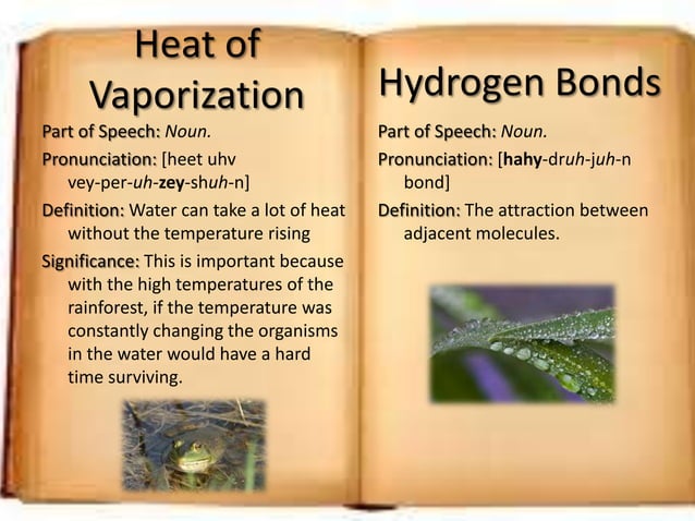 Ashley's water dictionary | PPT