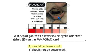 Junior Skillathon Worm Station | PPTX