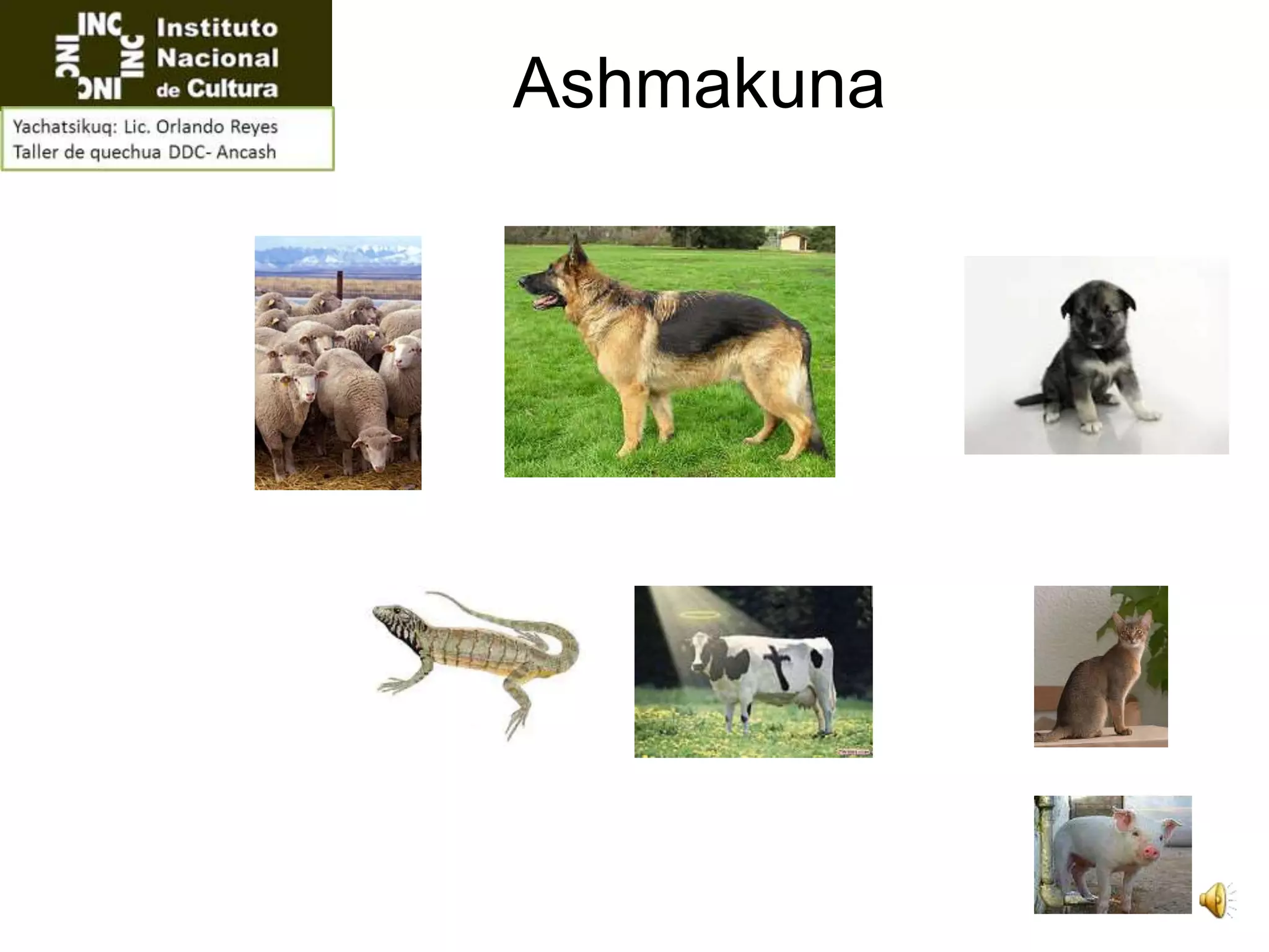 animales en el quechua Ancashino = Ashmakuna | PPTX