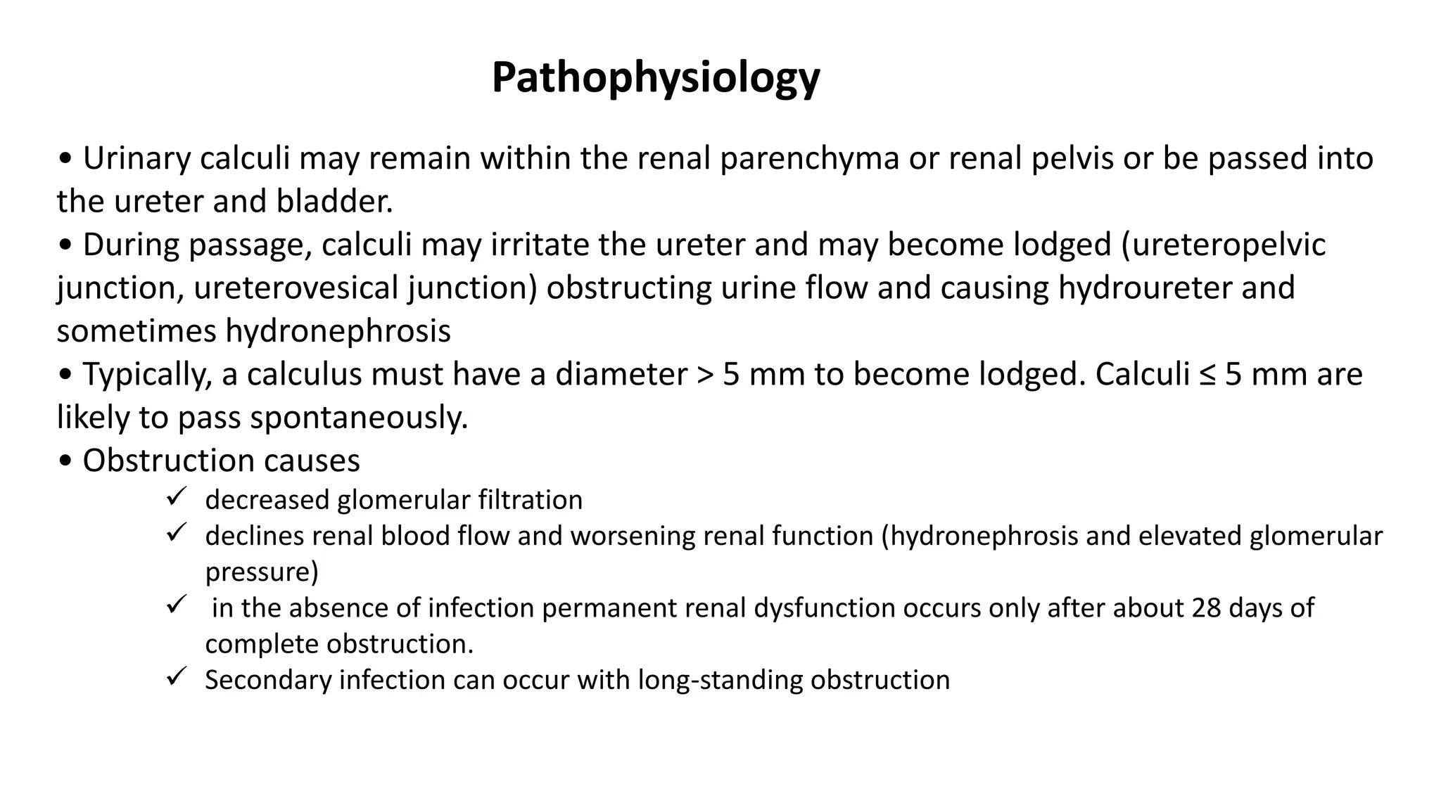 Ashmari (Urinary Calculi) Pathology & Diagnosis | PPTX