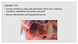 Colon Diseases, non specific ulcerative colitis | PPT