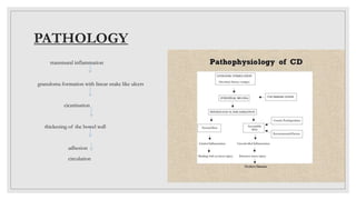Colon Diseases, non specific ulcerative colitis | PPT