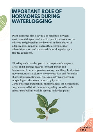 Waterlogging Stress in Plants | PDF