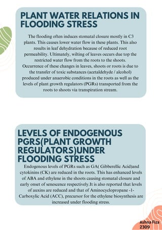 Waterlogging Stress in Plants | PDF