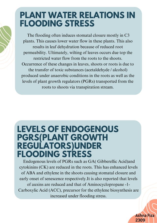 Waterlogging Stress in Plants | PDF | Gardening | Home & Garden