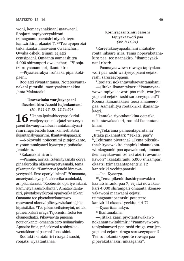 ASHÉNINKA.GRAN.PAJONAL.pdf