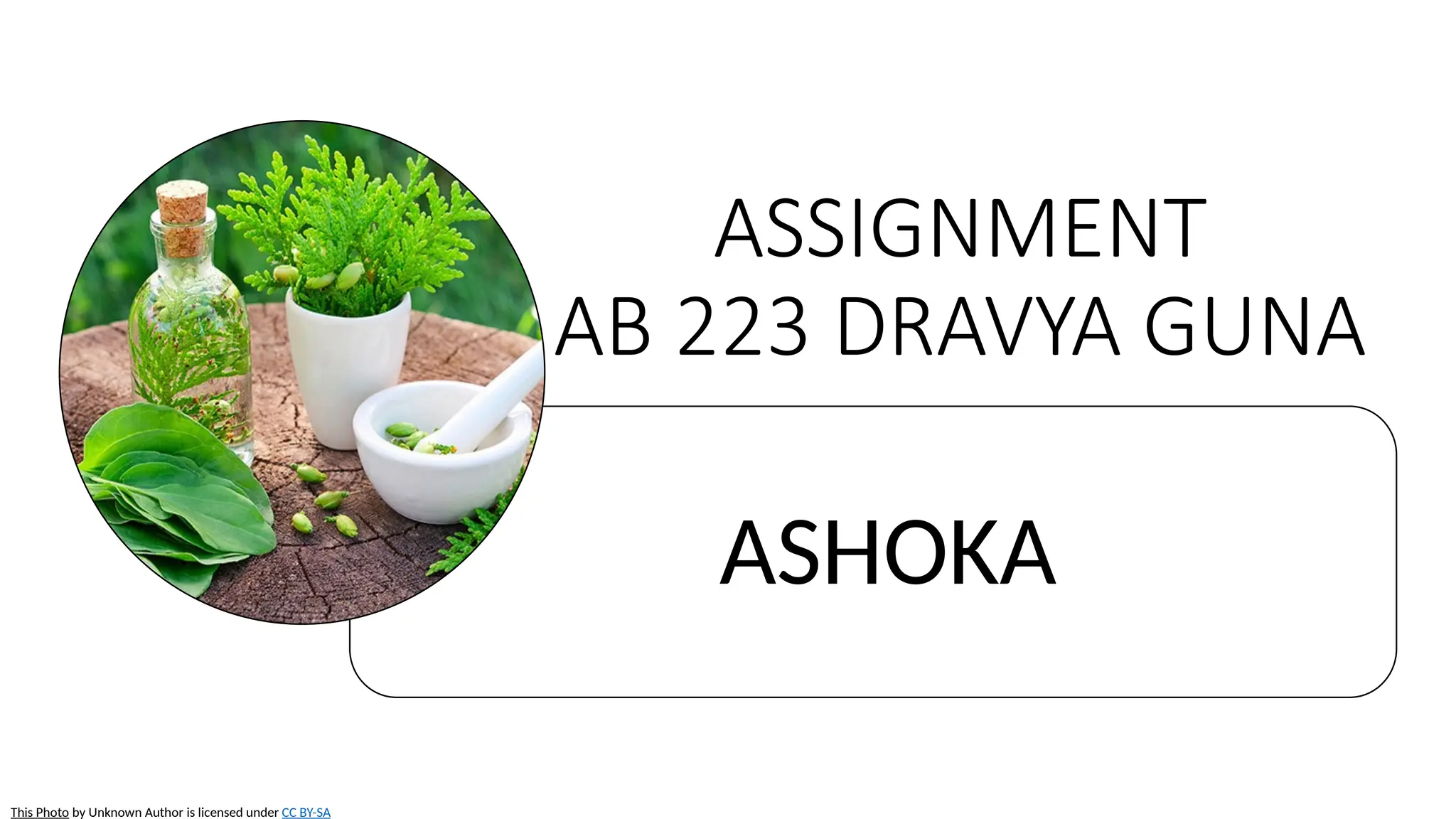 ASHOKA ayurvedic drug dravya guna characteristics .pptx