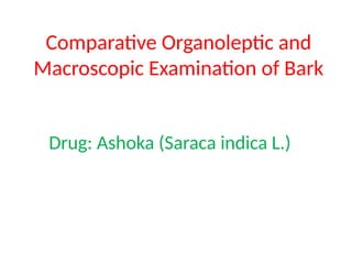 Ashoka_Bark_Examination-Comparative Organoleptic and Macroscopic ...