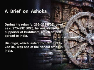 ASHOKA PPT.pptx
