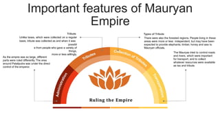 Ashoka The Mauryan Dynasty.pptx