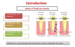 Biology of tooth movements | PPTX