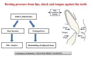 Biology of tooth movements | PPTX
