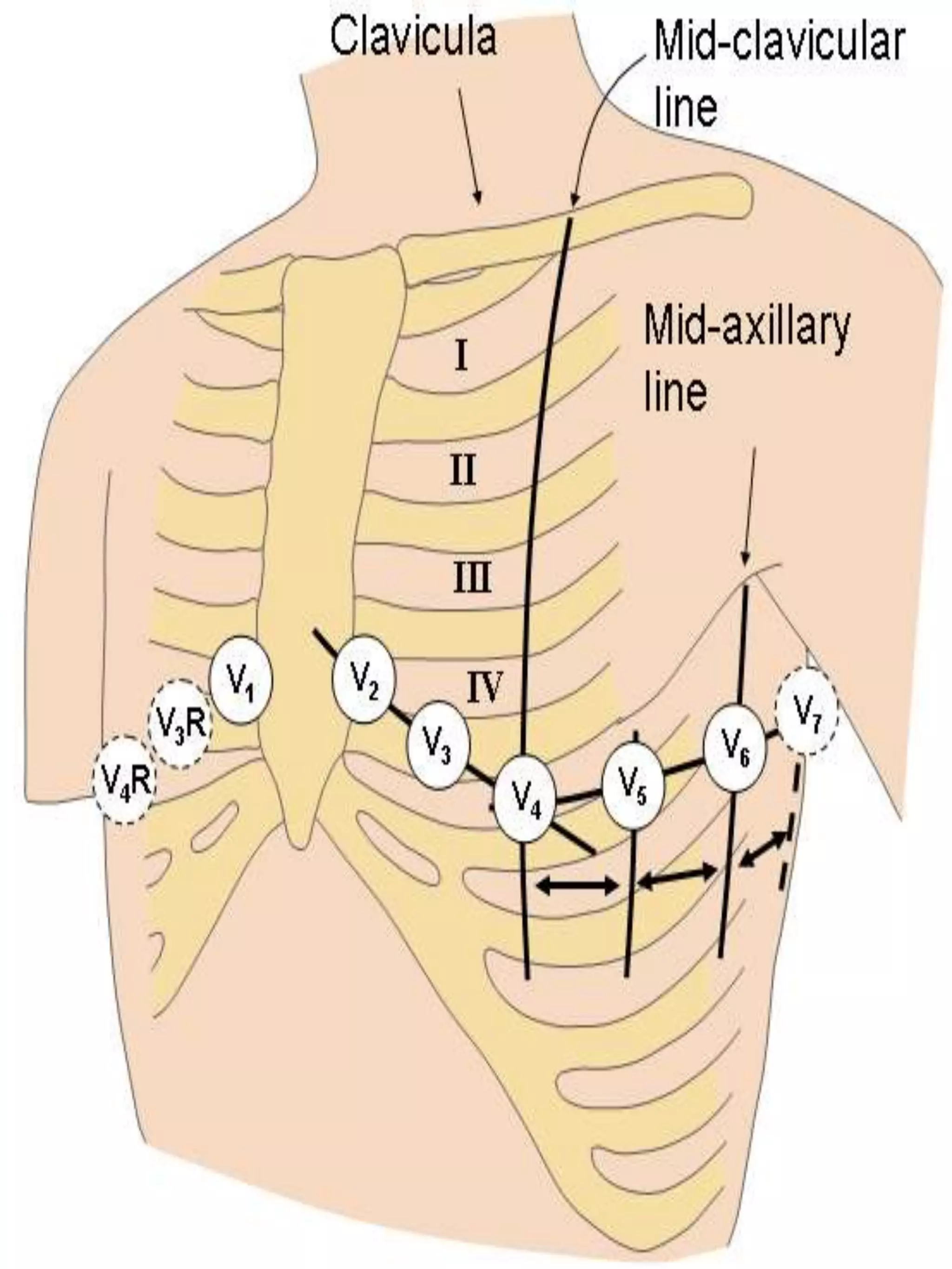 Physiology of ECG ,localisation of MI | PPTX