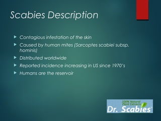 A short guide to scabies treatment 2016 | PPT | Skin and Dermatology ...