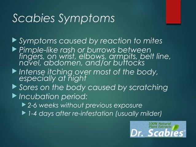A short guide to scabies treatment 2016 | PPT