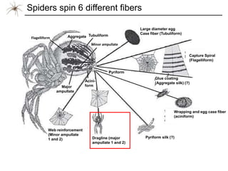A short lecture on bionanocomposites.pptx