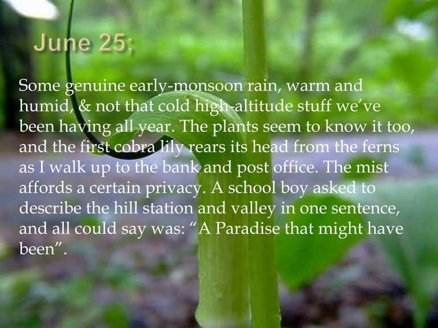 A short monsoon diary | PPTX | Weather | Science