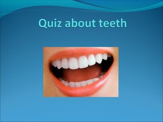 A short quiz about teeth гирш андрей 10 кл | PPT