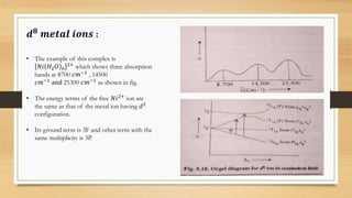 Ash_PPT_New (2).pptx