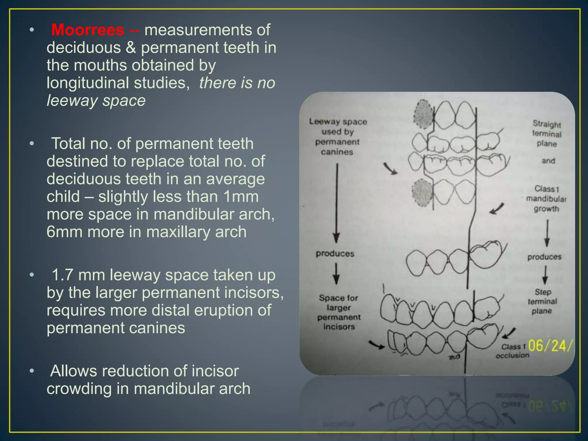 development of normal occlusion | PPTX