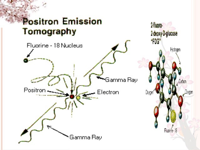 Positron Emission Tomography Imaging of Drug-Induced Tumor