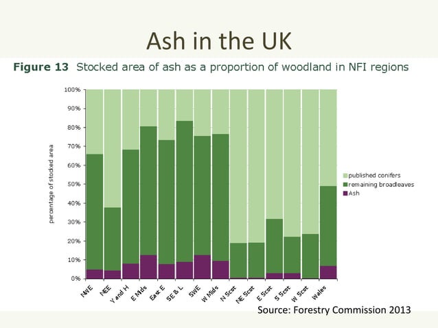 Ash trees and their future in Britain | PDF | Geography | Science