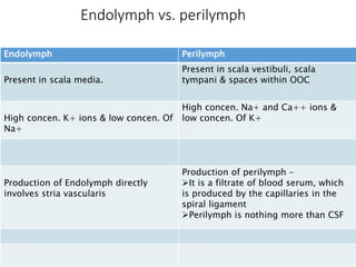 Anatomy and Physiology of Inner Ear | PPT