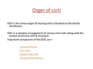 Anatomy and Physiology of Inner Ear | PPT