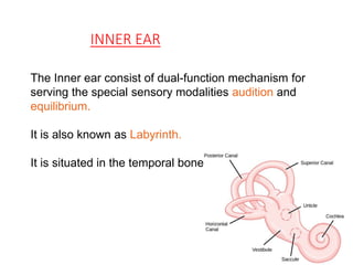 Anatomy and Physiology of Inner Ear | PPT