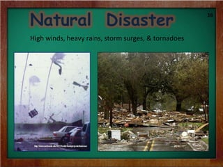 Disaster Management | PPT