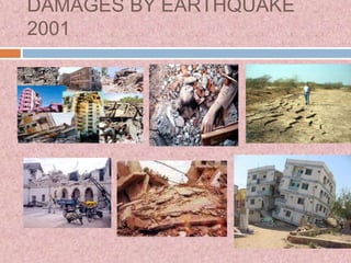Disaster Management | PPT