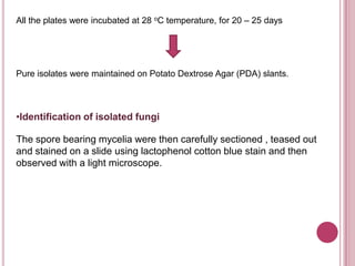 Hydrocarbon degrading fungi | PPT