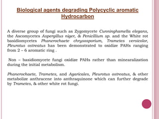 Poly Aromatic hydrocarbon degrading fungi | PPTX
