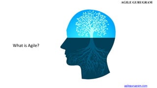 Agile Gurugram 2022 - Ashutosh Rai | Agile Doesn't Work | PPT