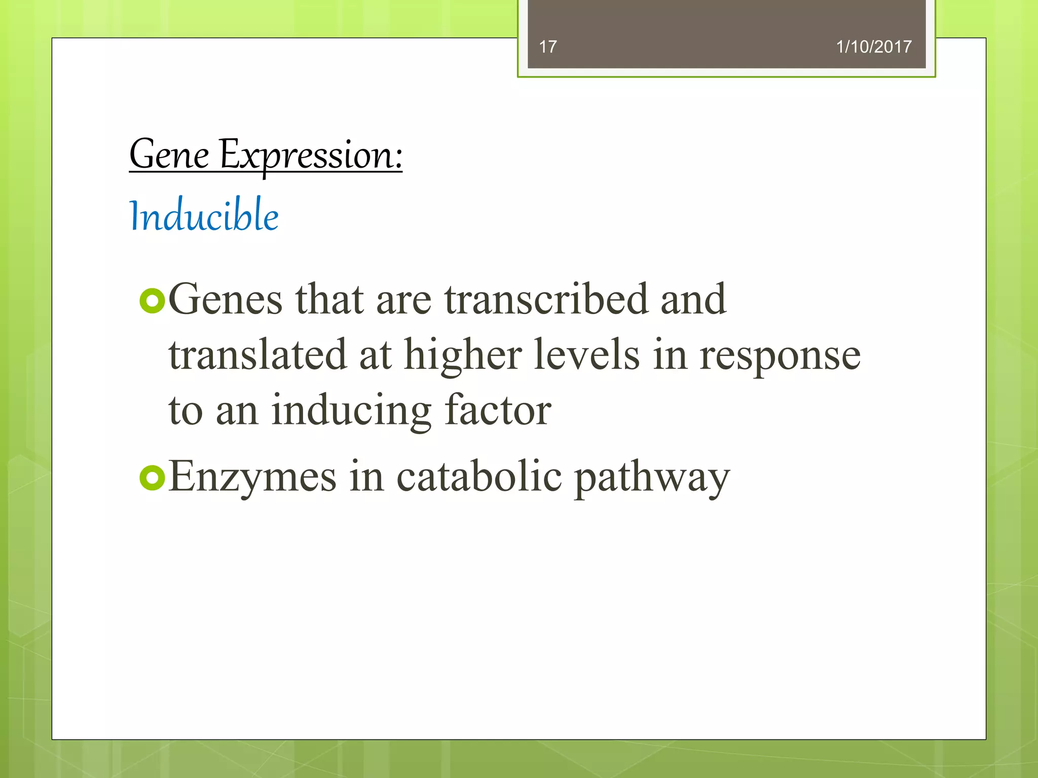 GENE REGULATION IN PROKARYOTES | PPTX