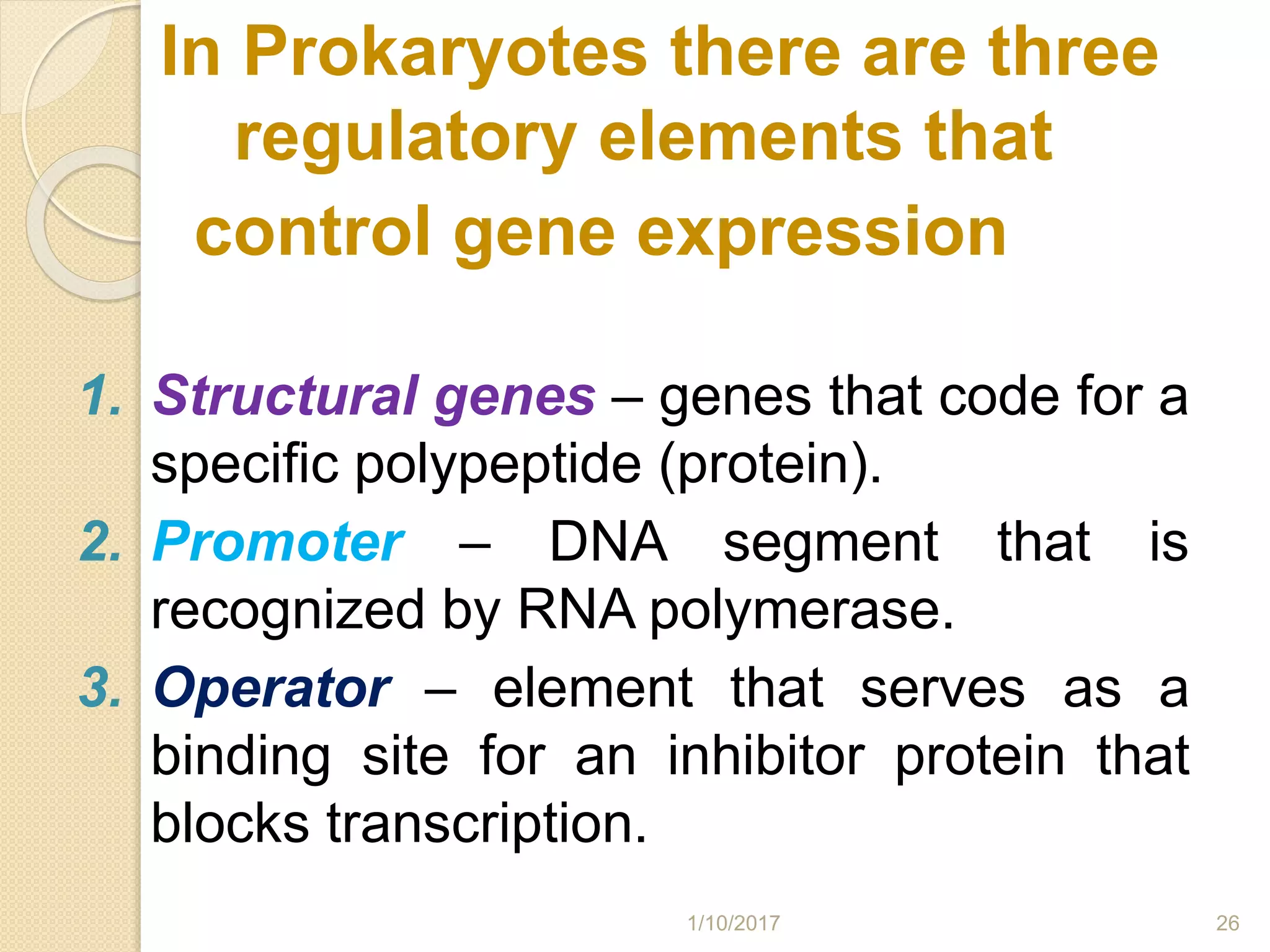 GENE REGULATION IN PROKARYOTES | PPTX